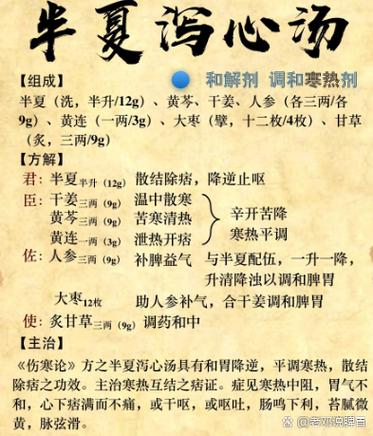 半夏黄连黄芩干姜甘草图标