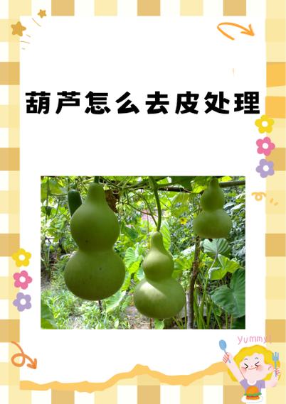 葫芦去皮后怎么处理不干瘪图标