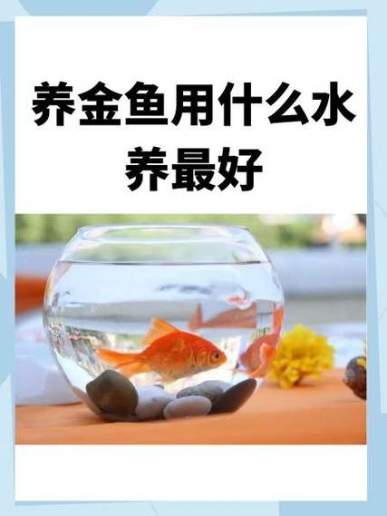 金鱼最爱3种水截图