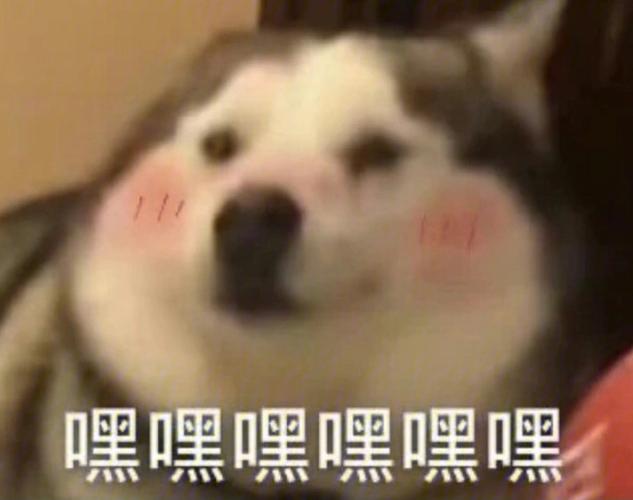嘿嘿嘿嘿嘿的表情包截图