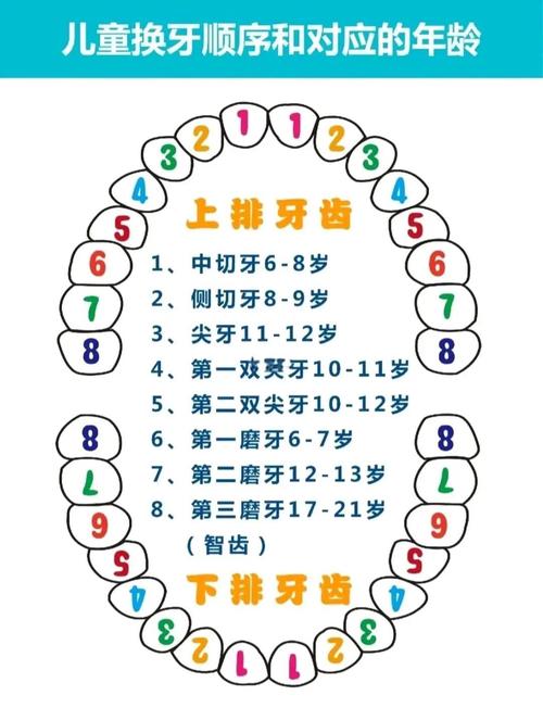 旧牙没掉新牙长出来了,需要拔掉吗图标