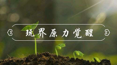 max一直在启动界面图标
