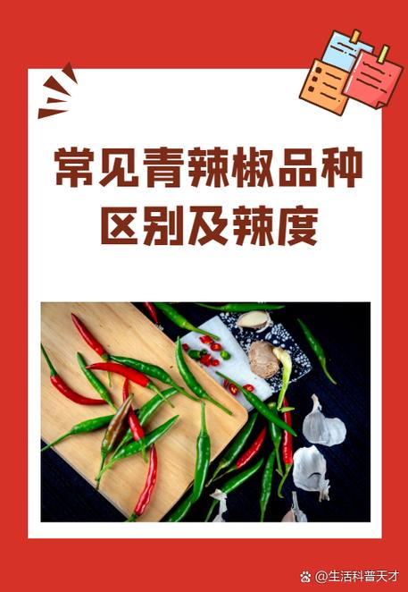 中国辣椒排名图标