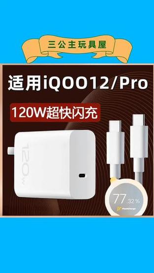 iqoo12充电器参数图标