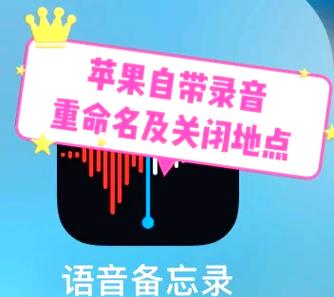 苹果语音怎么重命名图标