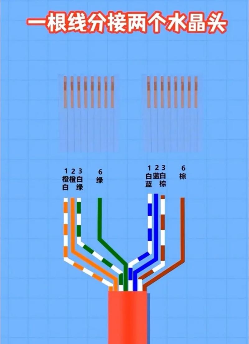 一根网线接两个水晶头图标