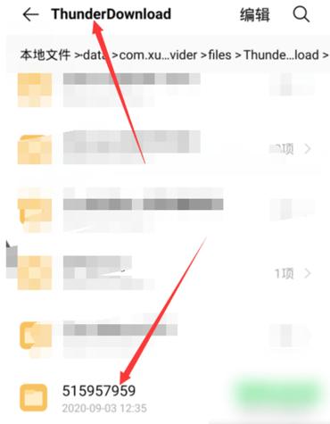 手机迅雷文件导出截图