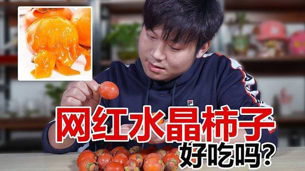 网红水晶柿子截图