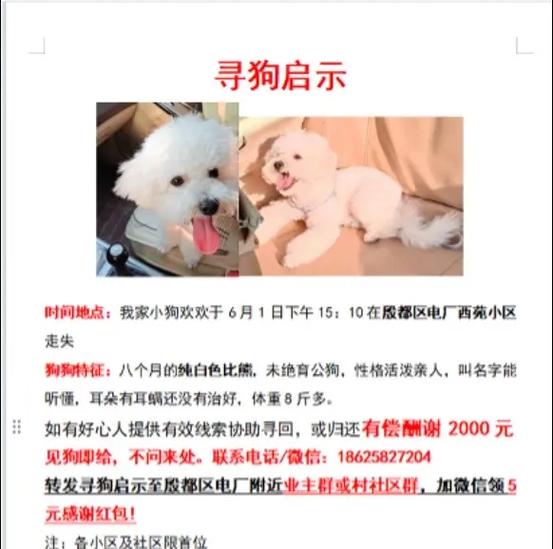 走失即寻什么意思截图