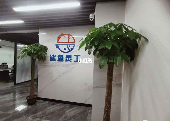 鲨鱼灵工官方邀请码首码图标