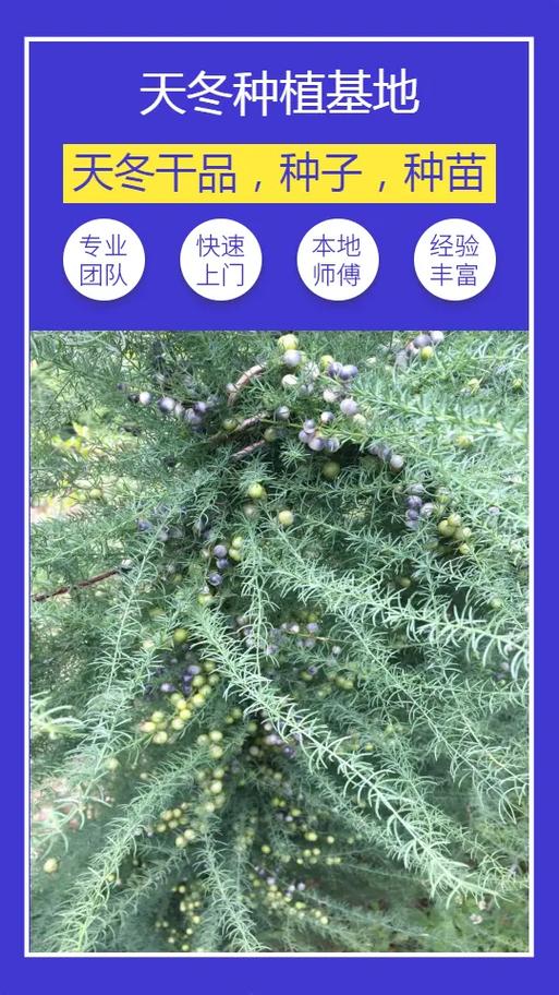 中草药天地网价格图标