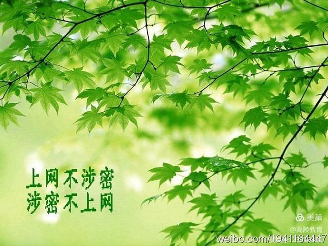 小天才频繁出现未联网的原因截图