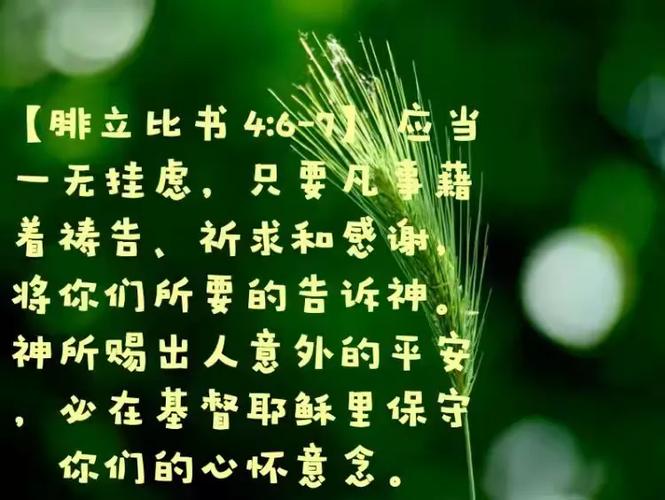 我躺着我站着主必保守我的脚步截图