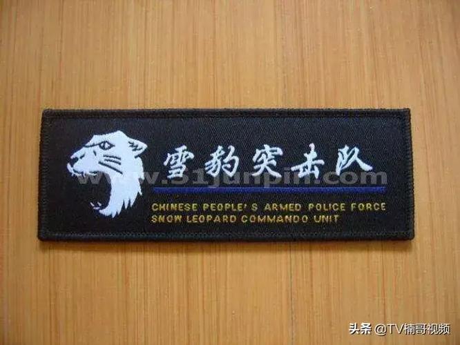 王牌突击队作弊菜单下载截图
