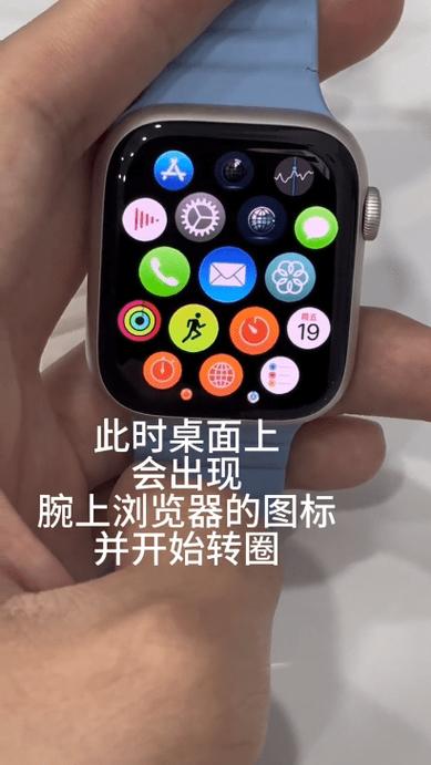 Apple Watch浏览器截图