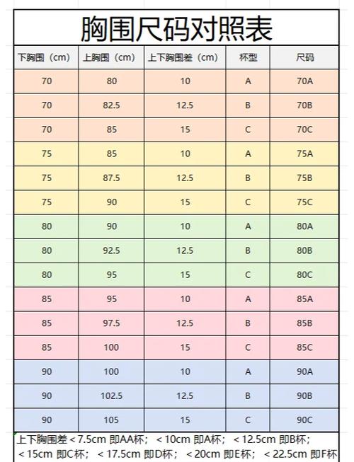 文胸尺寸对照表怎么看截图