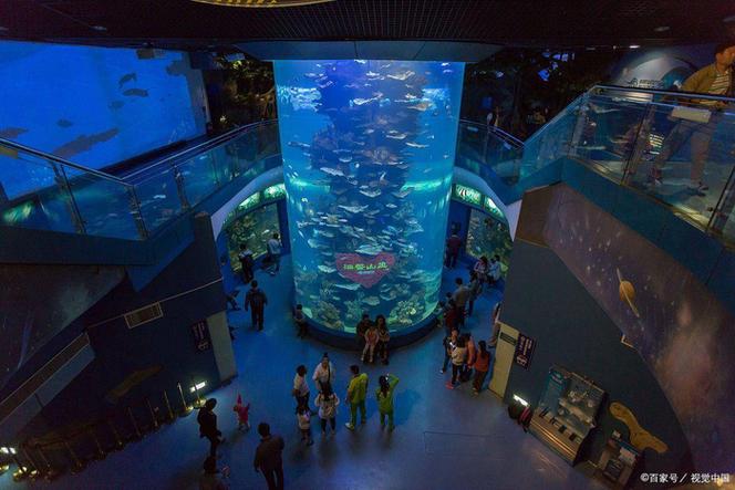 中国水族馆排名图标