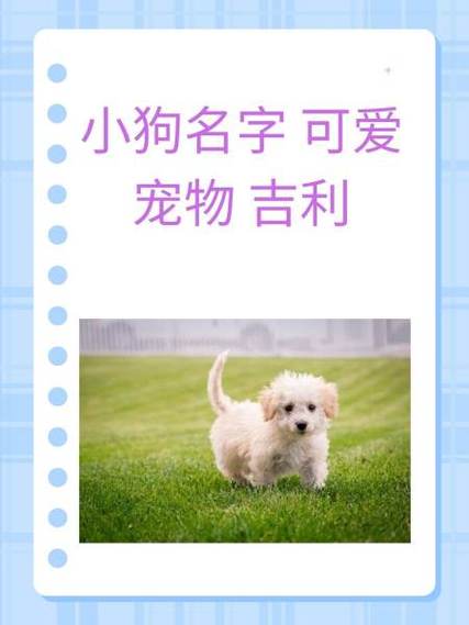 又贱又逗比的宠物名字图标