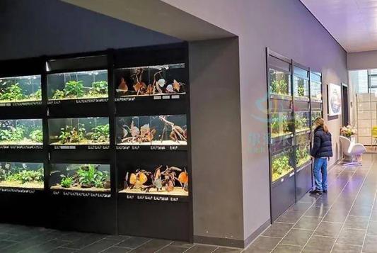 水族店利润有多大图标