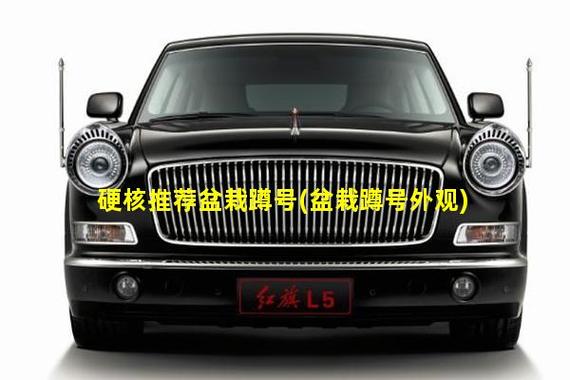 蹲号图标