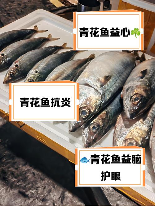 敬业青花鱼在线阅读图标