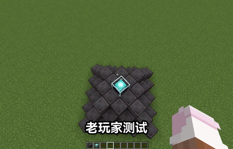网易版我的世界检测手持物品图标