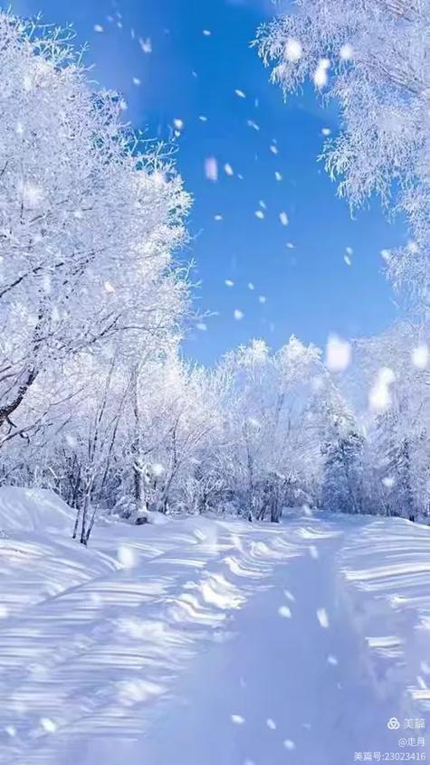雪花飘免费观看策驰影院图标