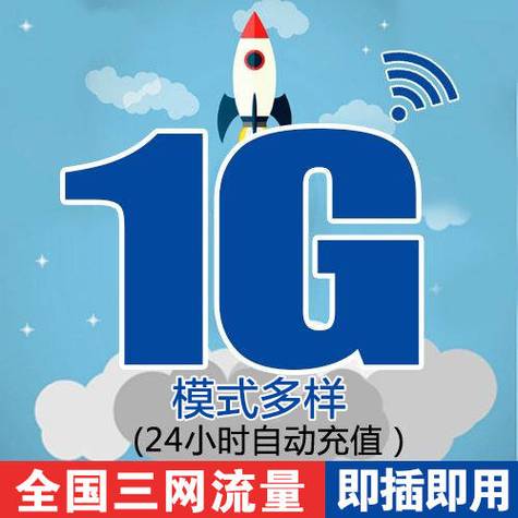 200g流量卡图标