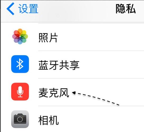 苹果手机隐私里麦克风没有选项图标