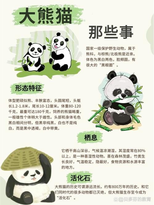 大熊猫的三个特征