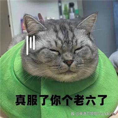 女生说我服了怎么回答图标