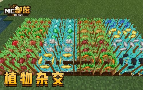 我的世界黄金农场图标