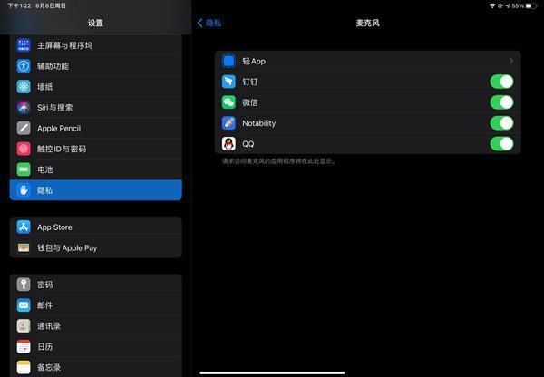 ipad系统设置中的麦克风设置图标
