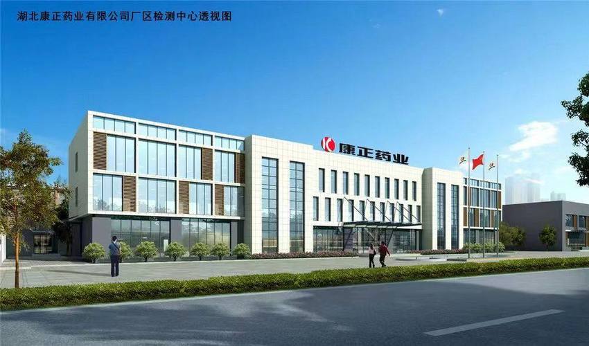 湖北前十大医药公司图标