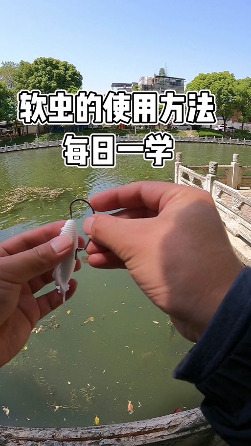 假饵红虫怎么挂钩图解图标