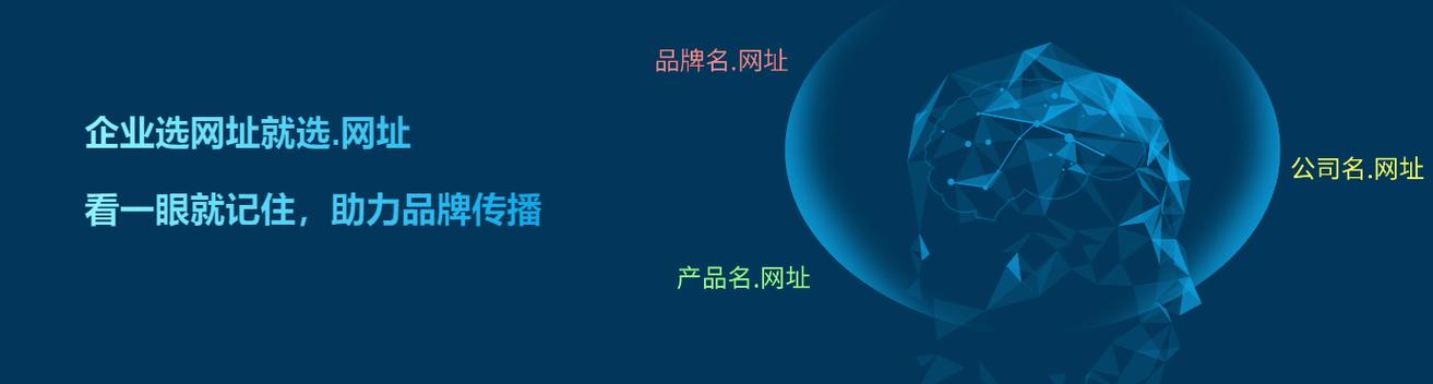 中文域名网站图标