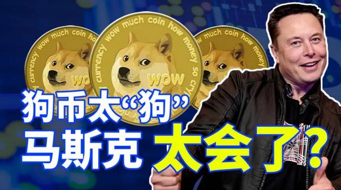 马斯克的狗狗币图标