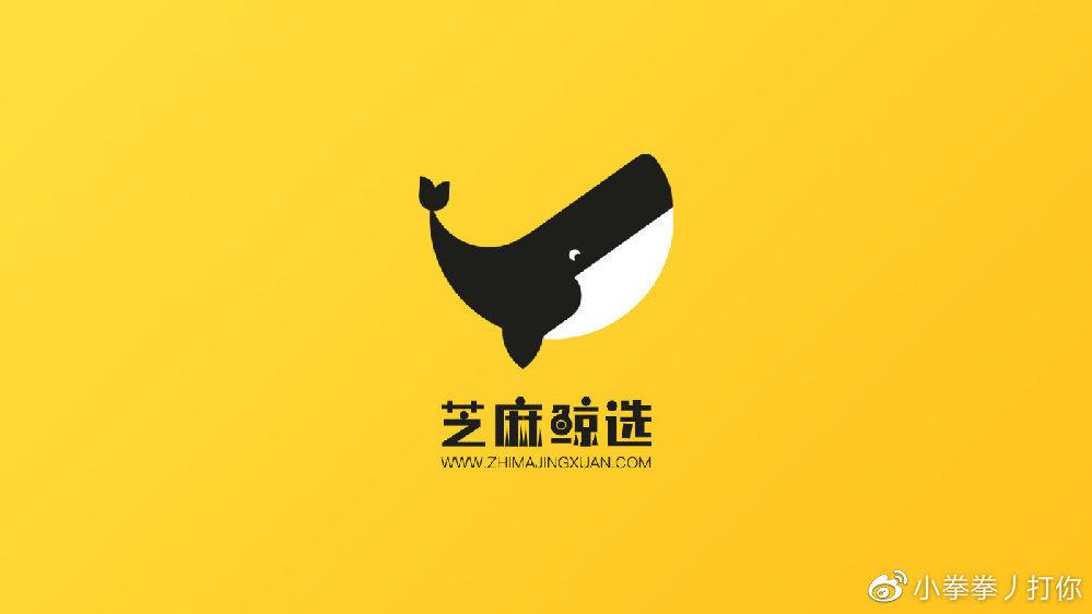 芝麻鲸选创业图标