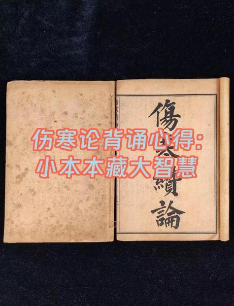 伤寒论歌诀背诵口诀图标