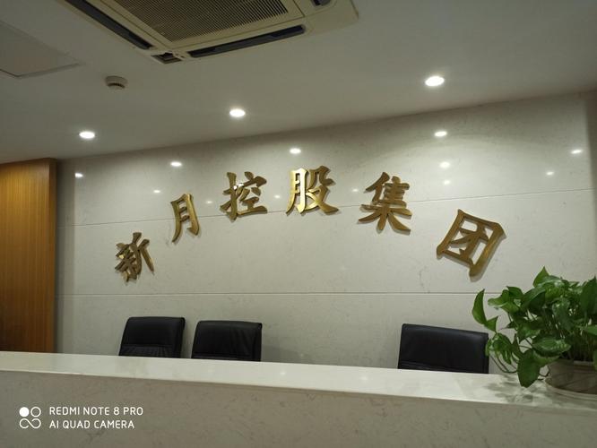 浙江新月集团公司截图