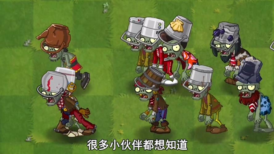 植物大战僵尸海盗港湾14截图