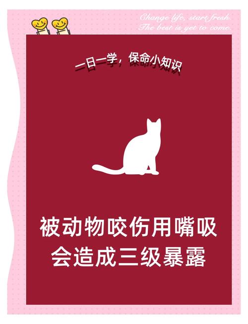 被狐狸咬了要打针吗图标