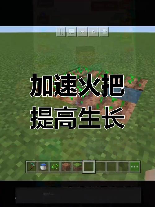 我的世界加速火把有什么用图标