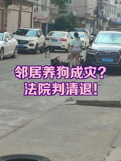 解决流浪狗的有效办法截图