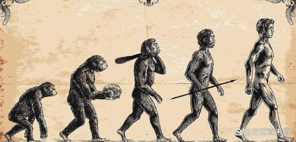人类进化 智人图标