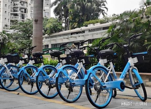 爱奇艺账号共享2026图标