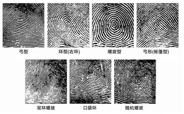 先指纹后面部截图