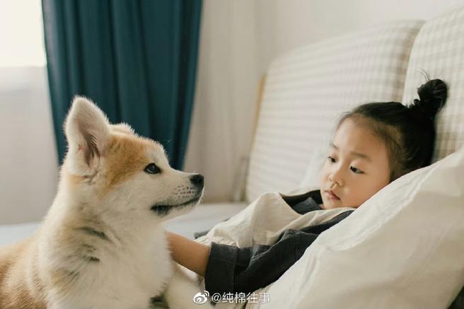 大猫和小猫能一起养吗图标