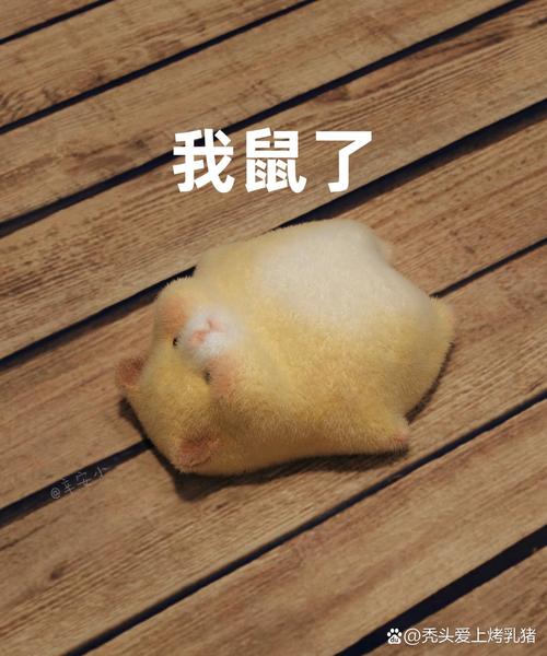 仓鼠表情包原图图标