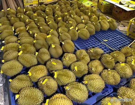 摆摊卖榴莲挣钱吗截图